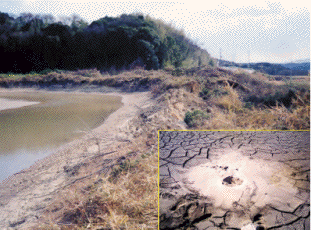 Geotechnical Engineering for Agriculture | Graduate School of ...